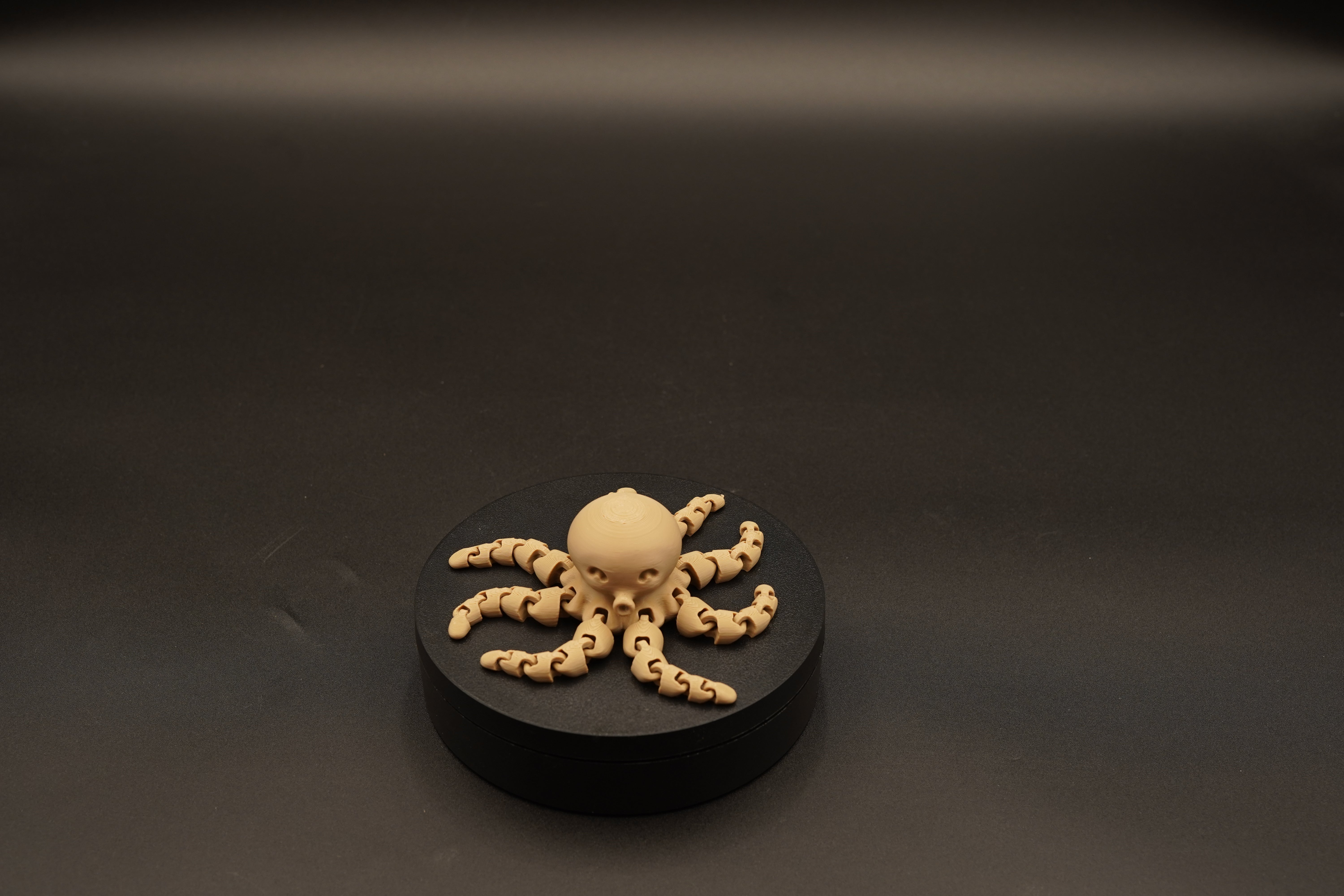3D Printed Octopus – Crow-Gear-Props